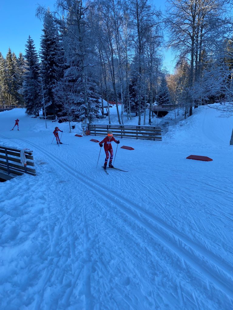 Ski | Nittedal IL
